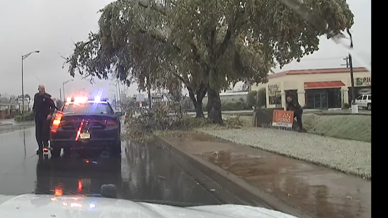 Officer hilariously loses battle against fallen tree limb