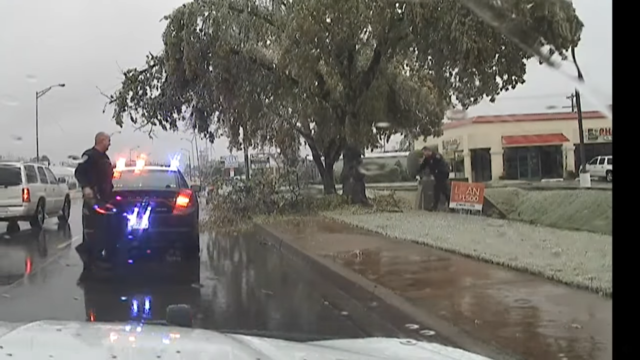 Officer hilariously loses battle against fallen tree limb