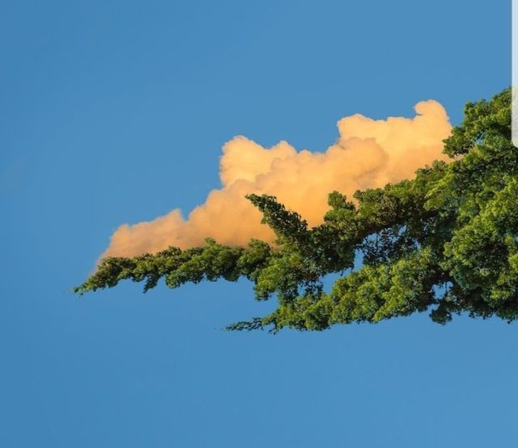 54 Rare Pictures Few Will Get To See In Real Life