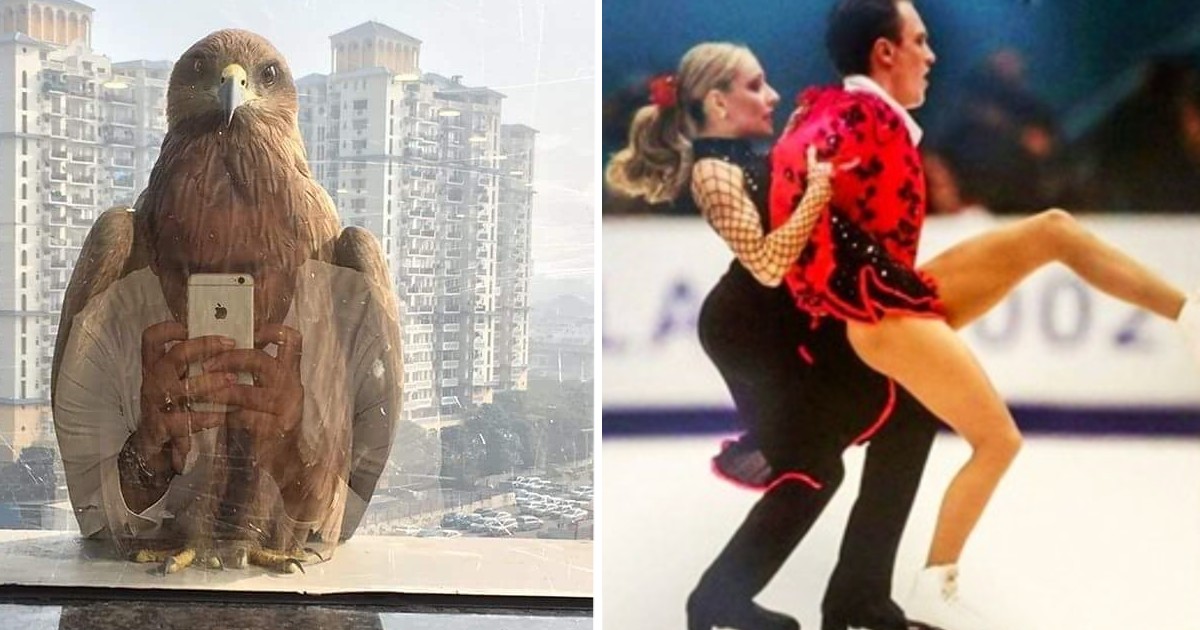 45 Photos that deserve an award for perfect timing