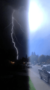 75 unplanned photos captured at the perfect moment in time