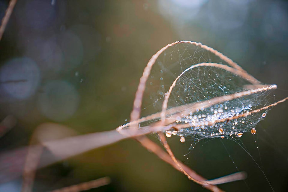 15 times mother nature proved she’s the best artist there is