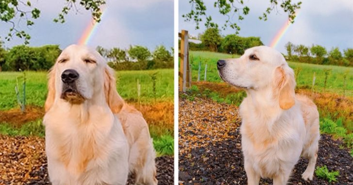 30 Images from a different angle that prove perspective matters