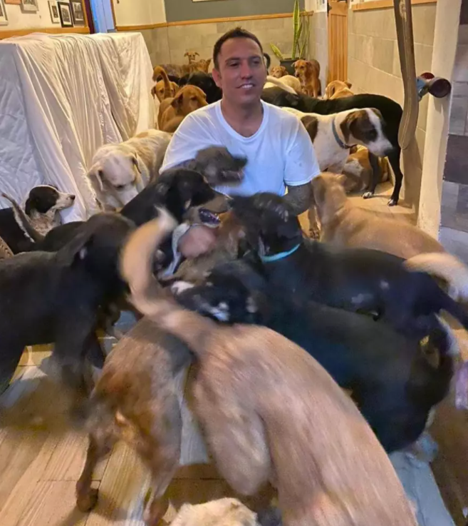 Man protects over 300 dogs from deadly hurricane by bringing them into ...