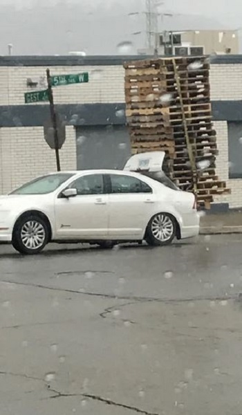 50 Photos Of Drivers Whose Decisions Defy All Logic