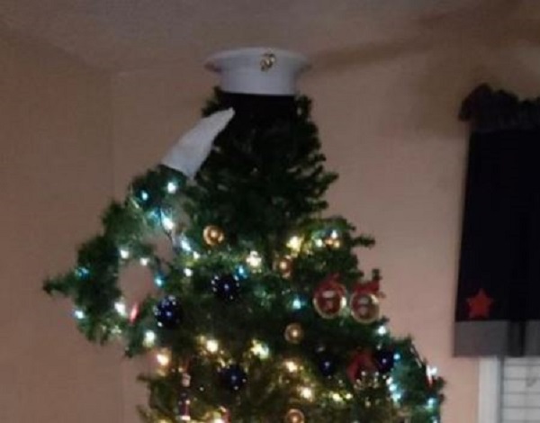 51 People Who Hilariously Refuse To Have An Ordinary Tree