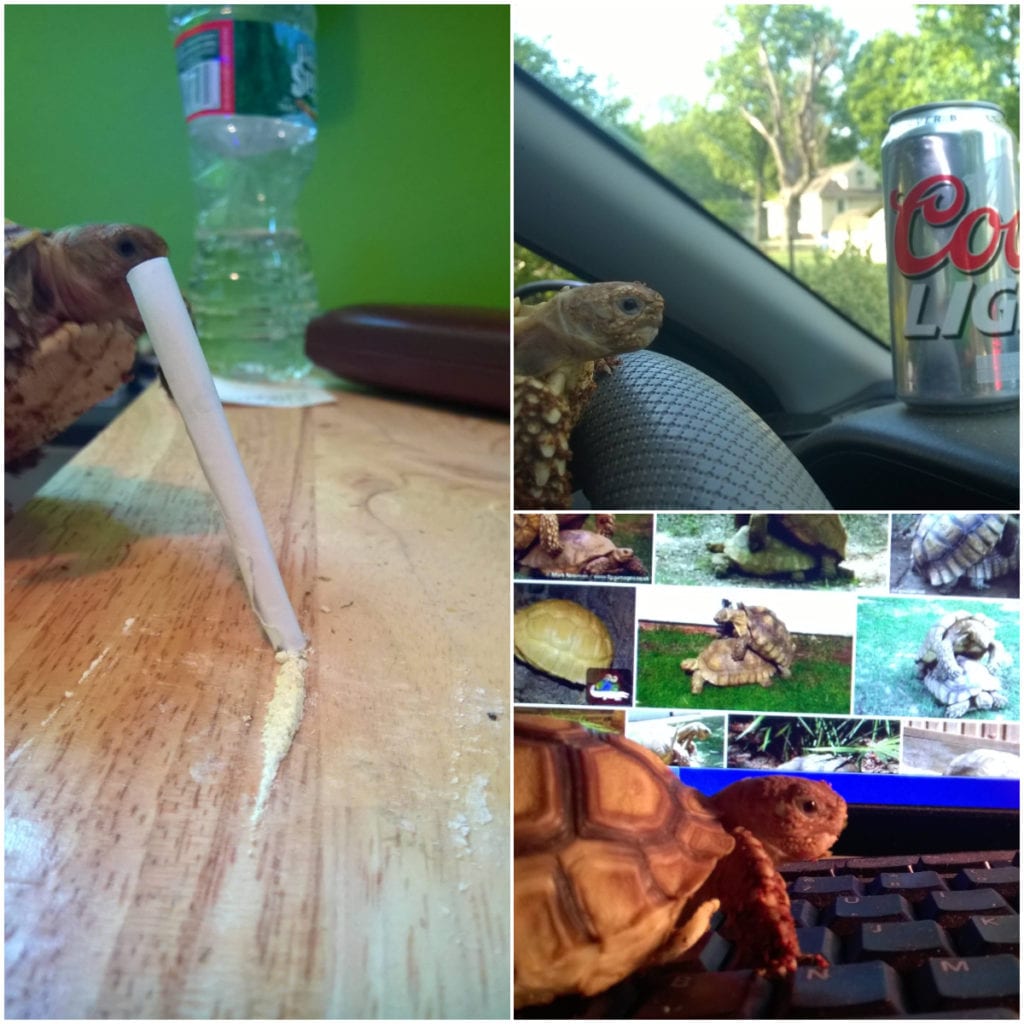 30 crack-up husbands and boyfriends who keep their partners on their toes