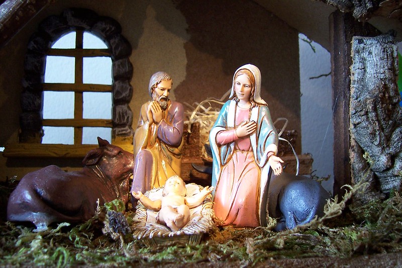 Homeless and cold puppy finds warmth and shelter in nativity scene