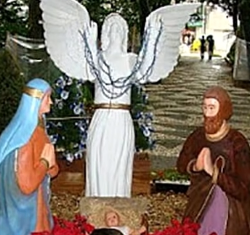 Homeless and cold puppy finds warmth and shelter in nativity scene