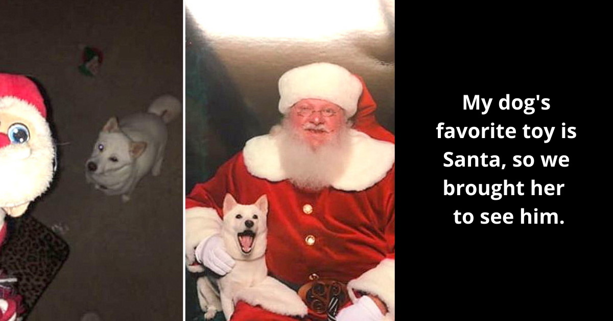 35 Pictures That’ll Cheer And Bring Christmas Spirit To Your Heart