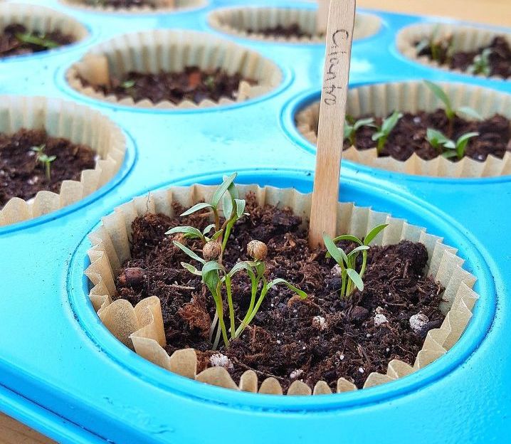 55 Clever ways to repurpose old baking pans