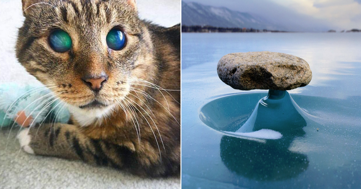 73 astounding and rare photos you don’t see every day