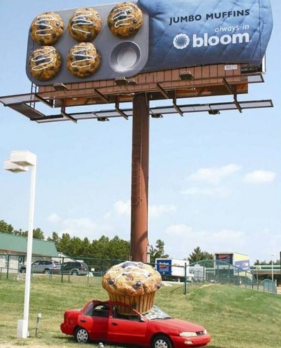 45 Funny Signs Making Us Laugh Out Loud