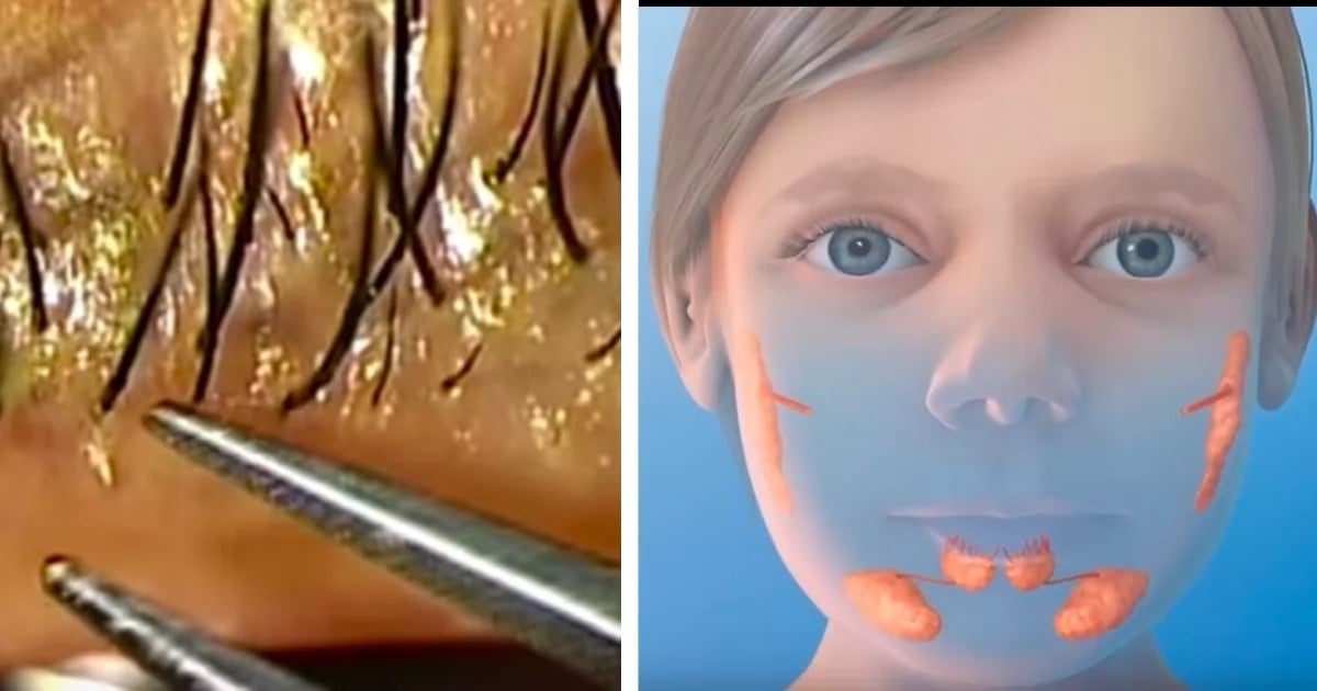 62 Weird facts about our bodies that will change your perspective