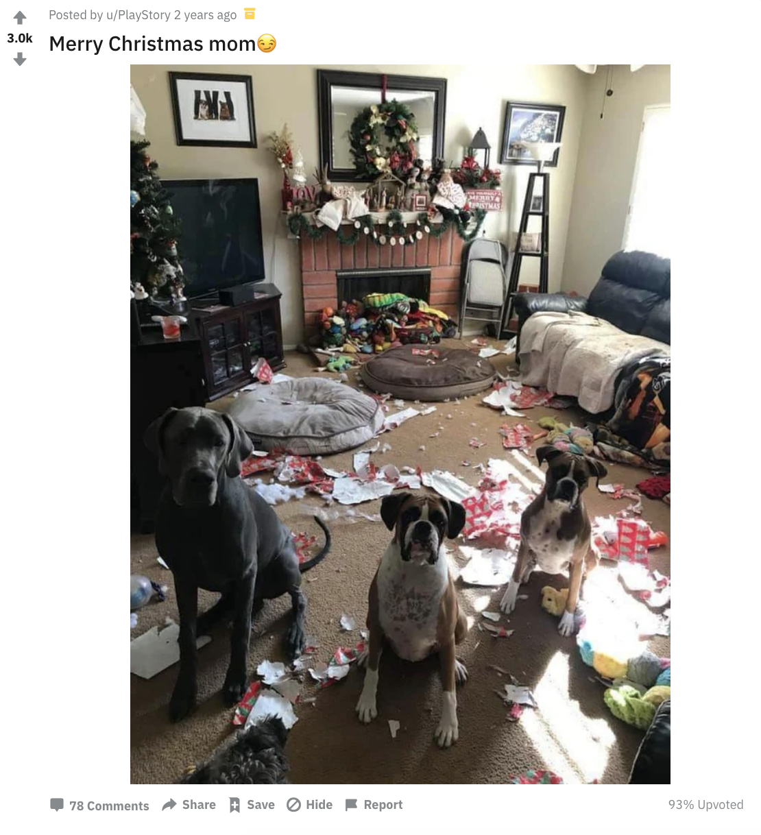 60 hilarious Christmas fails that actually made the holidays better