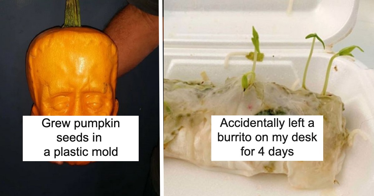 50 People who accidentally conducted science experiments with fantastic ...