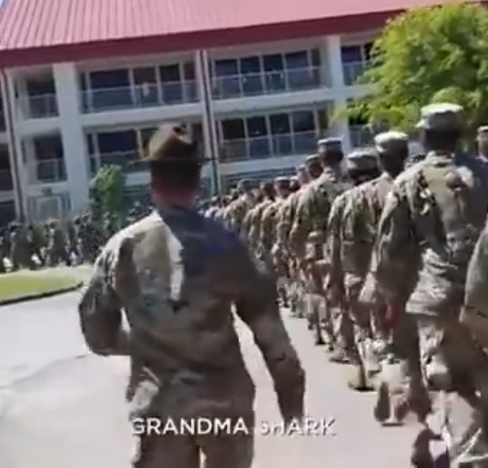 Drill sergeant leads army in hilariously unusual song during march