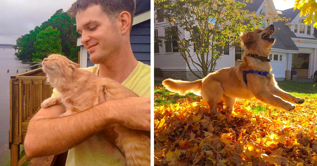 73 crack-up animals experiencing something for the first time is too ...