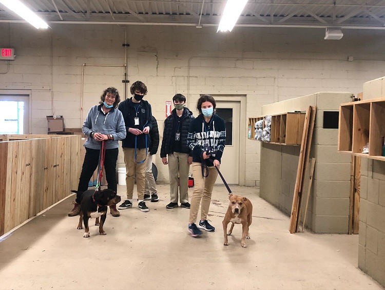 Homeless man saves every animal after rushing into burning animal ...