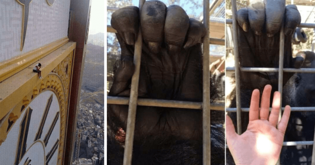 55 Random things you probably never realized are actually humongous