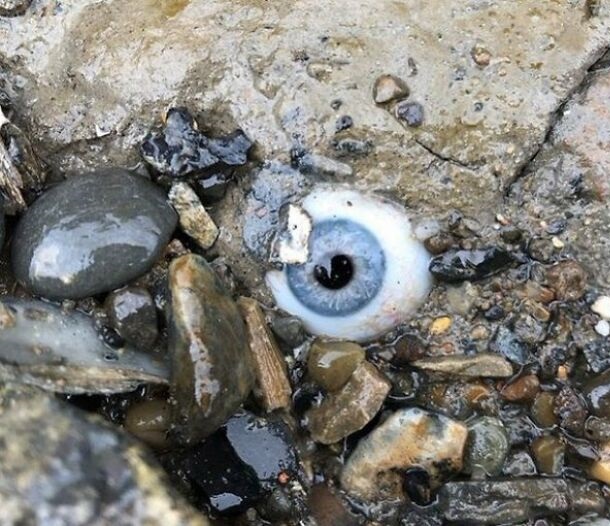 50 photos that redefine the meaning of bizarre