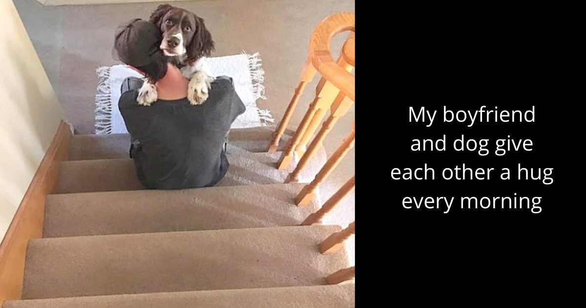 70 Dogs Who Love Their Humans Beyond Comparison
