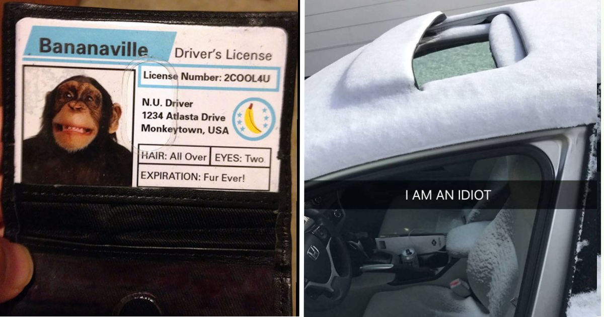 60 Times people’s forgetfulness had crack-up consequences