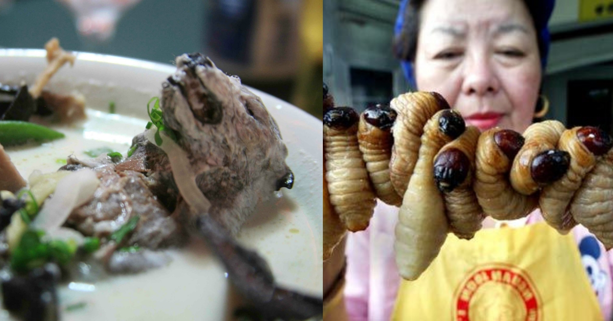 50 Refeições Mais Raras Do Mundo Todo