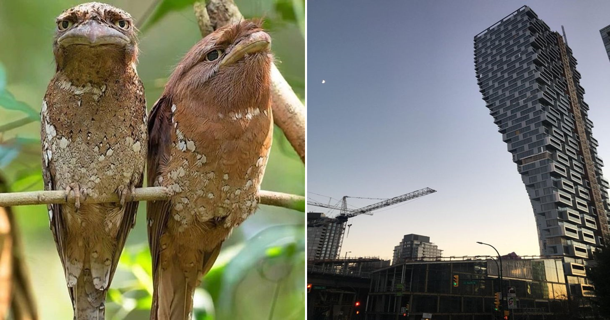 54 Rare Pictures Few Will Get To See In Real Life