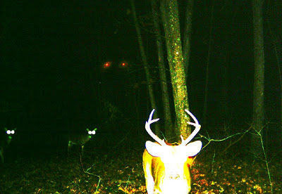 15 unexplainable, scary, and weird things captured on trail cams