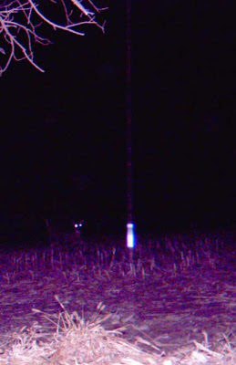 15 unexplainable, scary, and weird things captured on trail cams