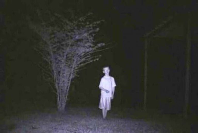 15 unexplainable, scary, and weird things captured on trail cams