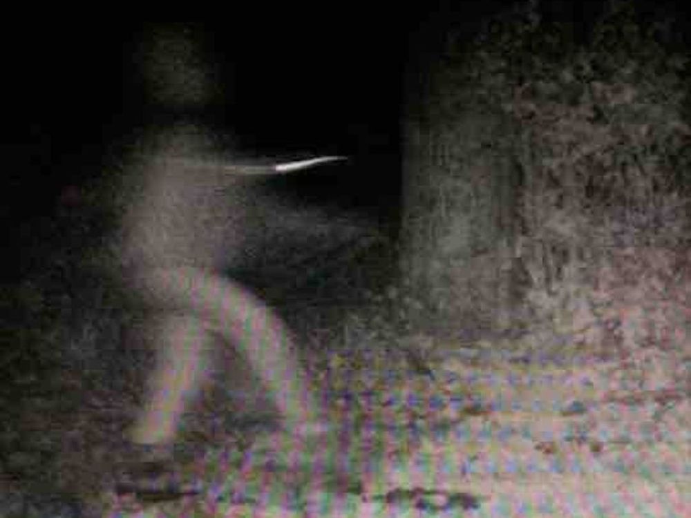 15 unexplainable, scary, and weird things captured on trail cams