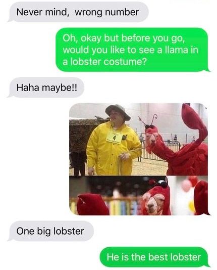45 Times people sent a text message to the wrong number and hilarity ensued