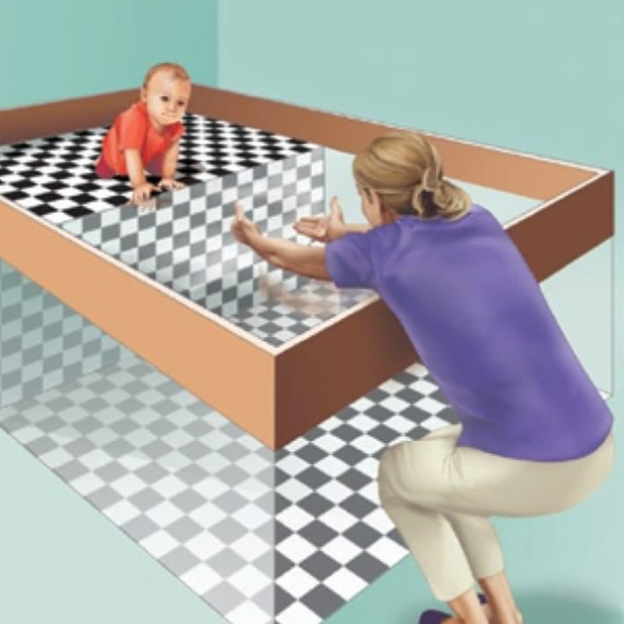 50 real-life science diagrams that are so weird they actually seem fake