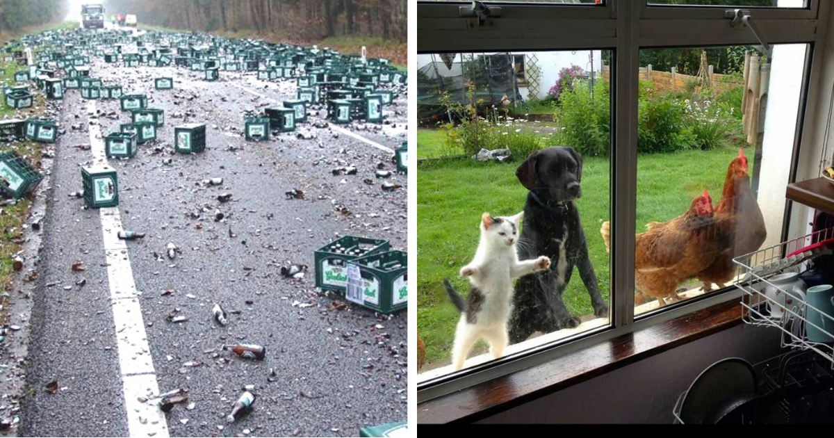 60 zany photos that defy any straightforward explanation