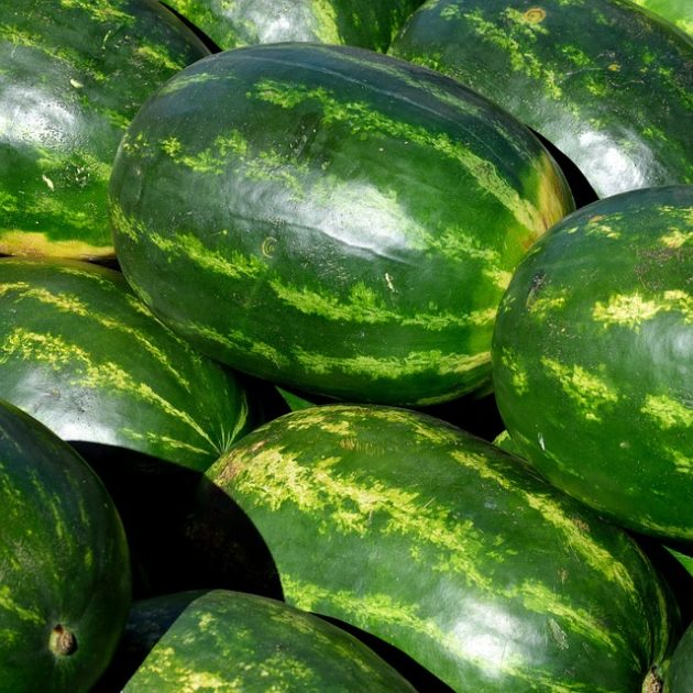 Farmer Shows How To Pick The Sweetest Of Watermelons