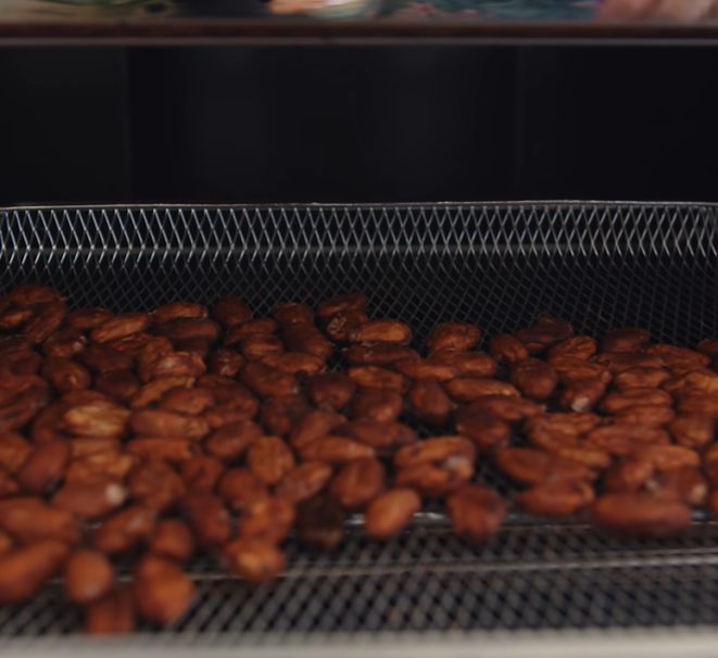 Man buys cacao pods to show us the fascinatingly gross process of ...