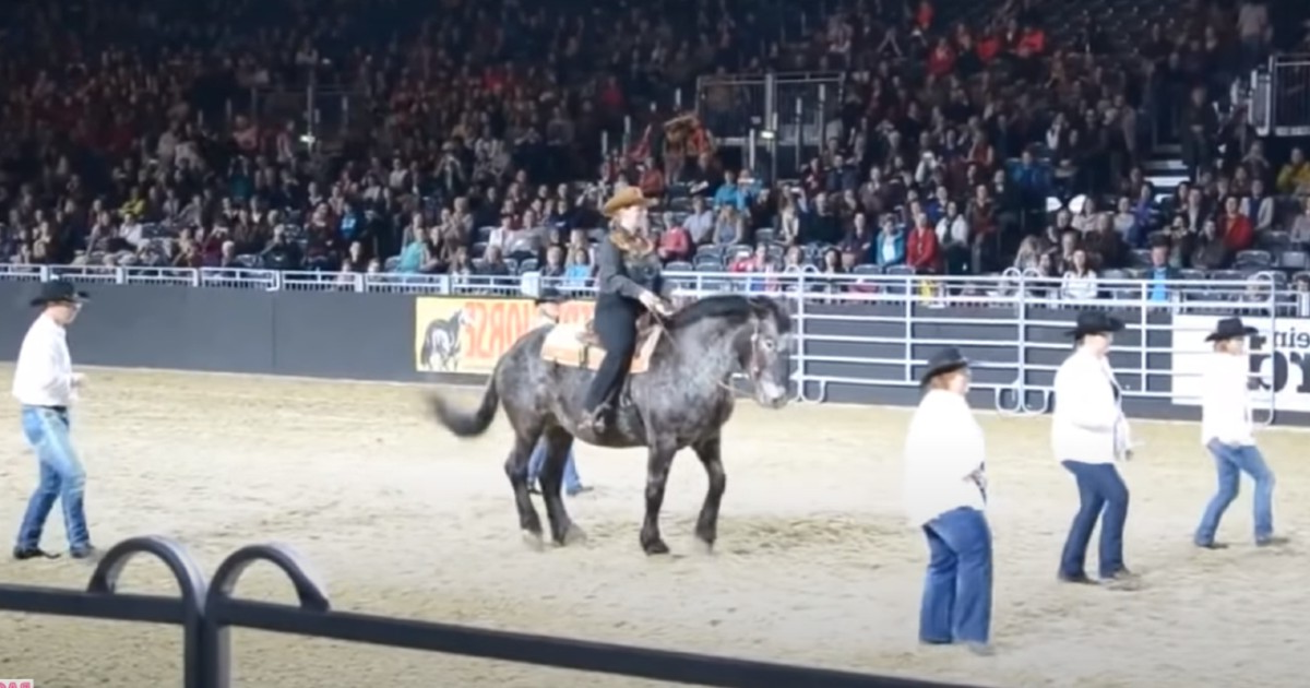 Unbelievable horse steals spotlight in dance performance