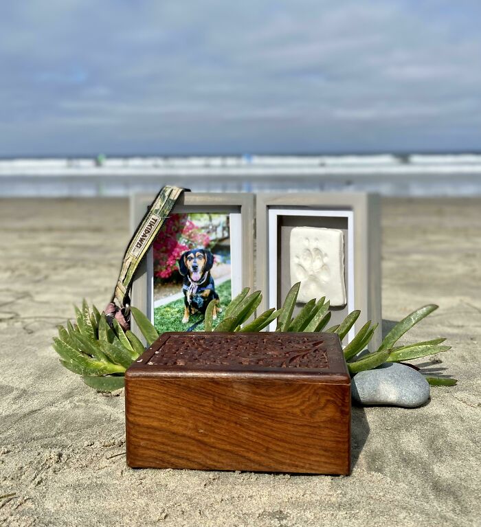 30 Wholesome Pics For Anyone Who Might Be Feeling Down