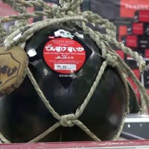 These rare Japanese black watermelons are the most expensive in the world