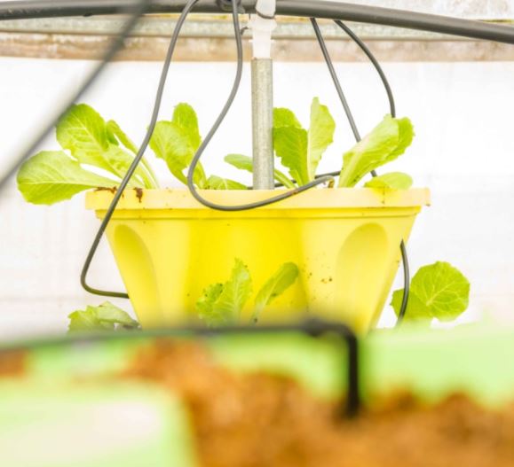 This Nigerian farmer is helping curb world hunger by growing crops in ...