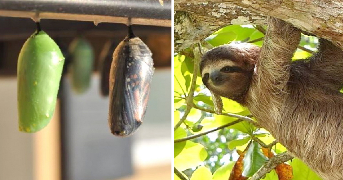 15 truly bizarre facts about the world that will make you say “whoa”