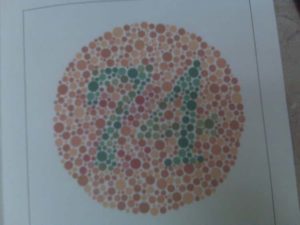 15 of the most common recessive genes in humans