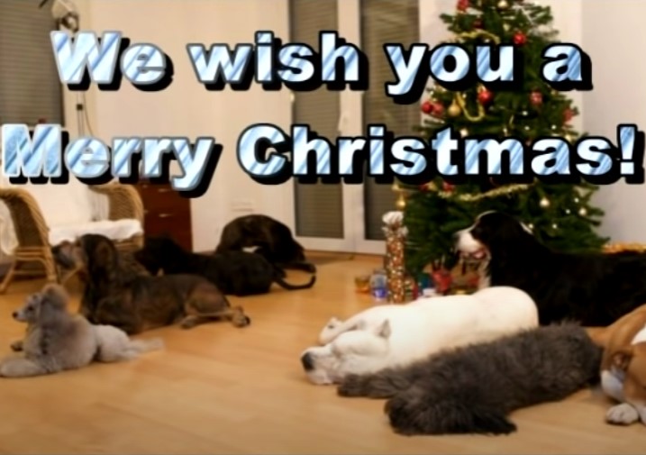 Dogs adorably decorate Christmas tree after being left home alone