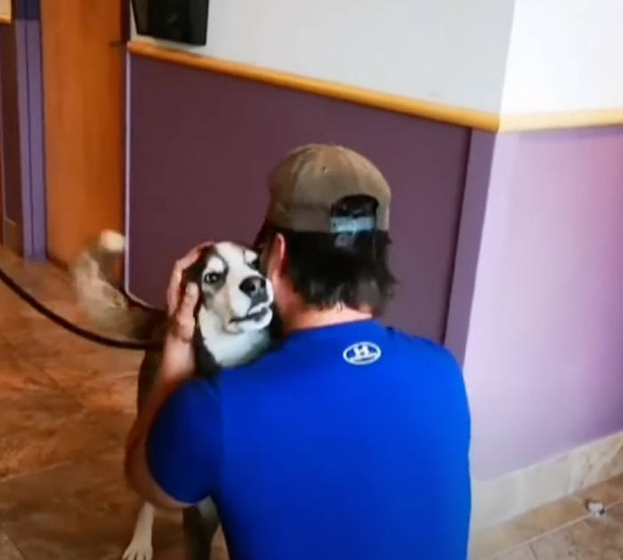 Man can’t contain emotions reuniting with dog who went missing 4 years ...