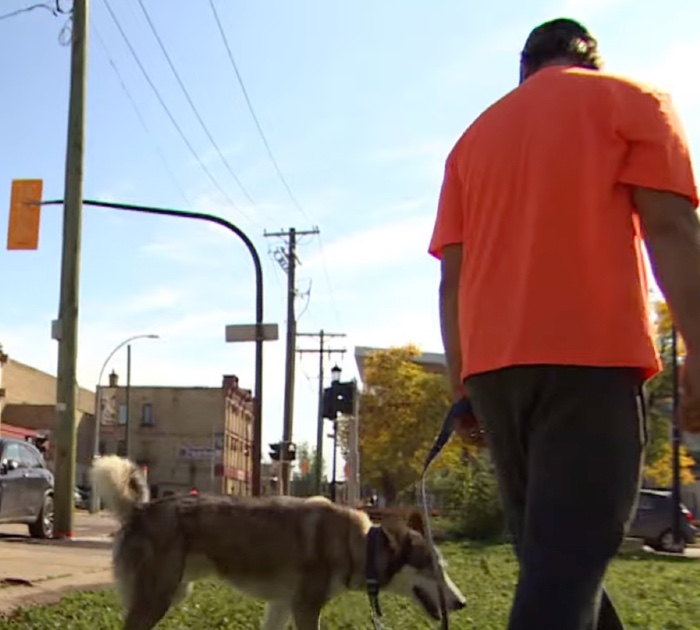 Man can’t contain emotions reuniting with dog who went missing 4 years ...