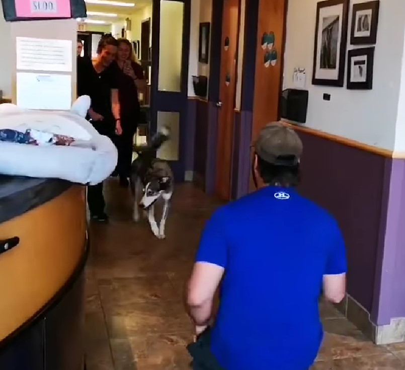 Man can’t contain emotions reuniting with dog who went missing 4 years ...