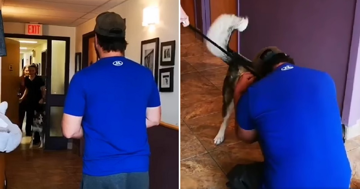 Man can’t contain emotions reuniting with dog who went missing 4 years ...