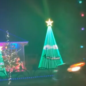 Woman dissolves into laughter as hilarious trees in Xmas display start ...